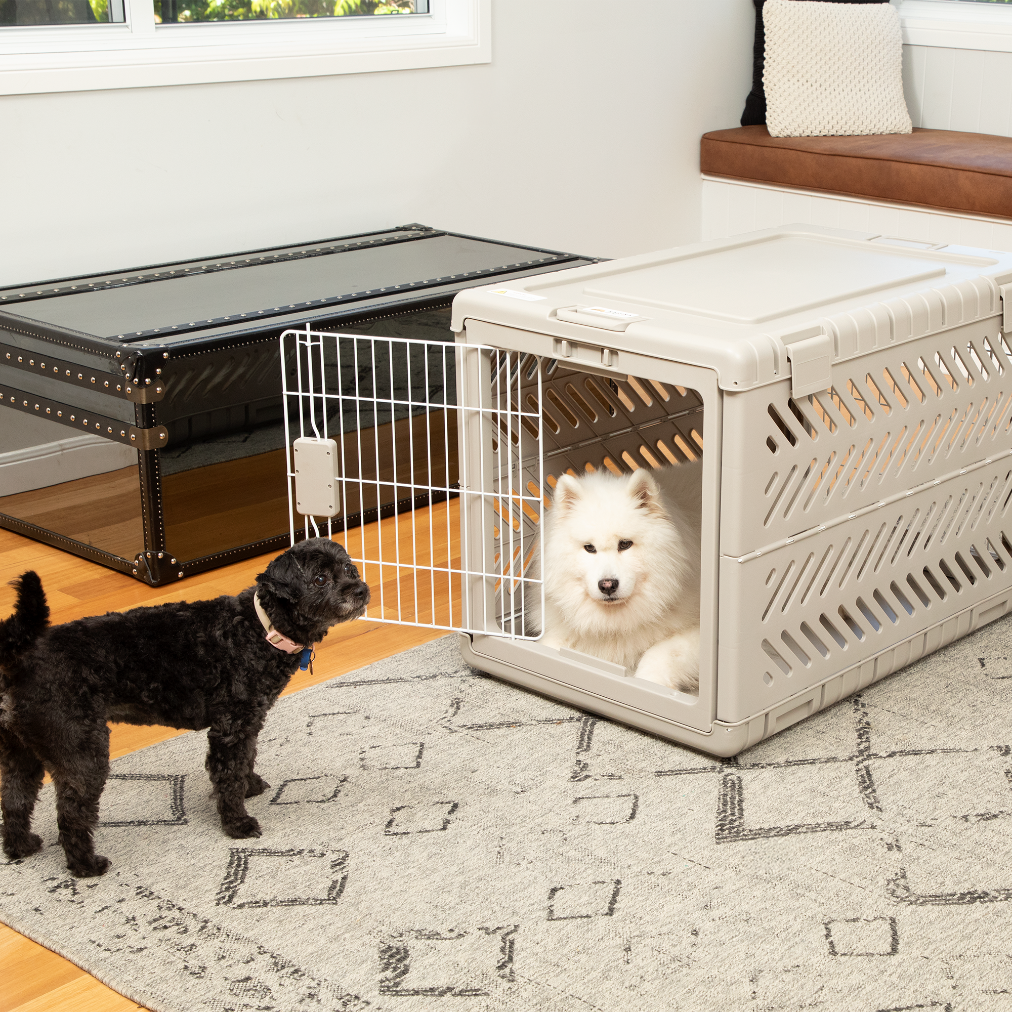 Pet Crates – Hakuna Pets AU