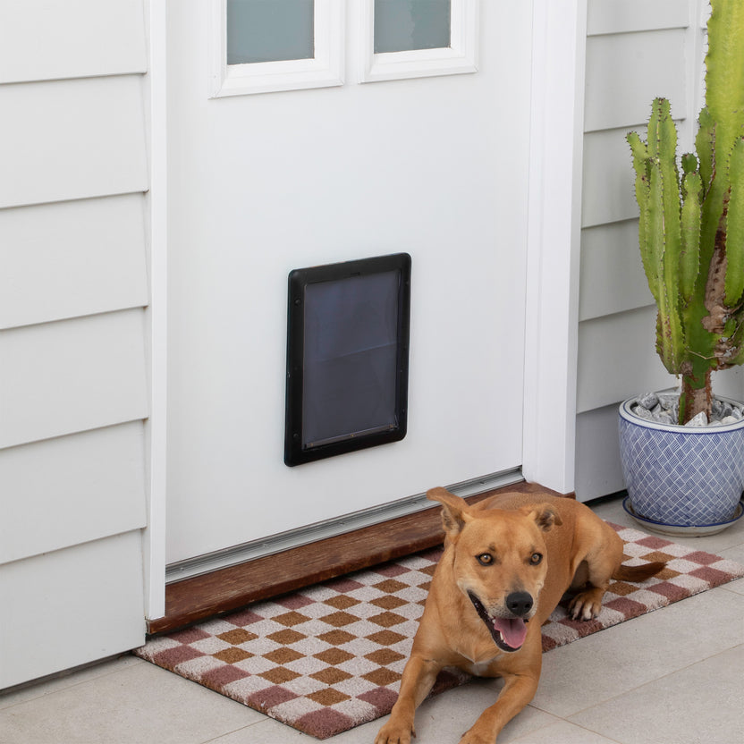 Hakuna Pets: Rental Friendly Pet Doors & Gates For Dogs & Cats – Hakuna ...
